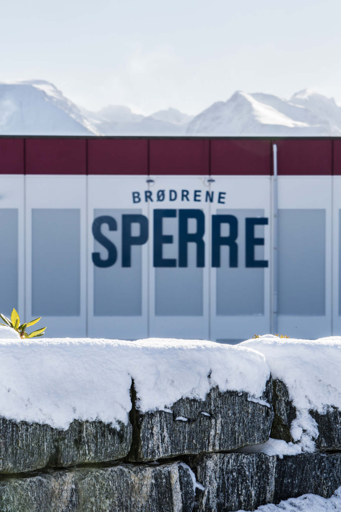 Your supplier of quality seafood | Brødrene Sperre
